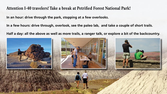 Petrified Forest National Park (U.S. National Park Service)
