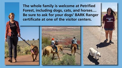 Petrified Forest National Park (U.S. National Park Service)