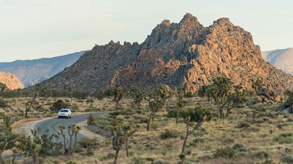 Joshua Tree Exhibit Binding People & Place - People of the Desert ...