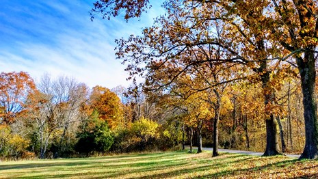 Pea Ridge National Military Park (U.S. National Park Service)