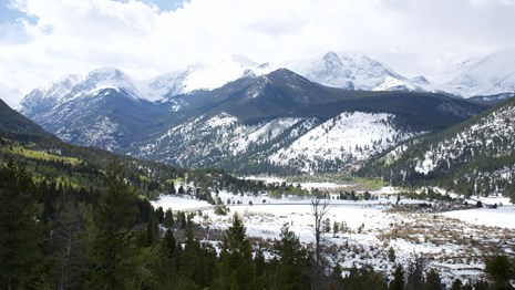 Montane Ecosystem - Rocky Mountain National Park (U.S. National Park ...