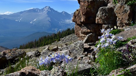Nature - Rocky Mountain National Park (U.S. National Park Service)