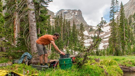 Science & Research - Rocky Mountain National Park (U.S. National Park ...