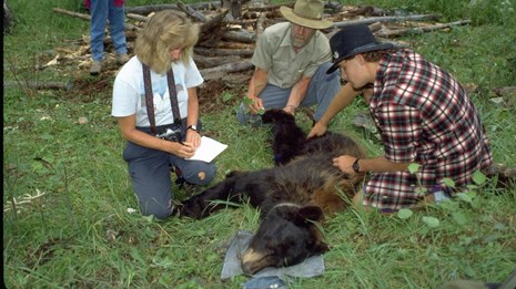 Science & Research - Rocky Mountain National Park (U.S. National Park ...