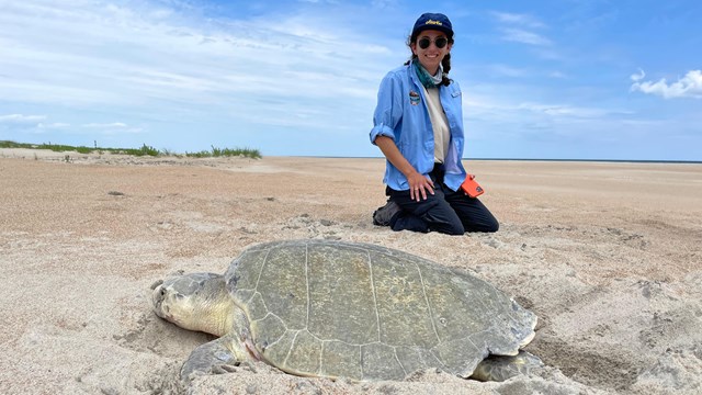 Science (U.S. National Park Service)