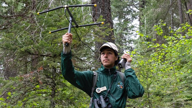 Scientists in Parks - Science (U.S. National Park Service)
