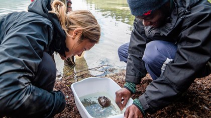 Science (U.S. National Park Service)