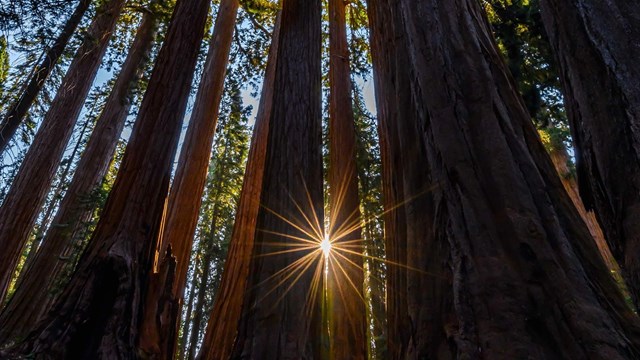 Filming and Photography Permits - Sequoia & Kings Canyon National Parks ...