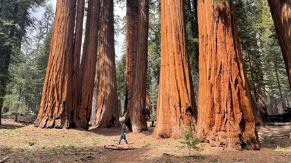 Filming and Photography Permits - Sequoia & Kings Canyon National Parks ...