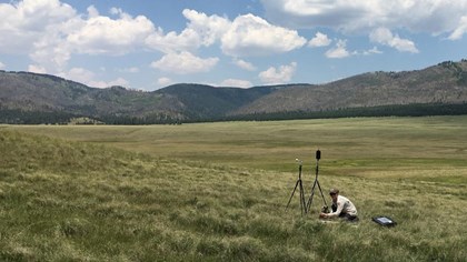 Exploring Sound - Natural Sounds (U.S. National Park Service)