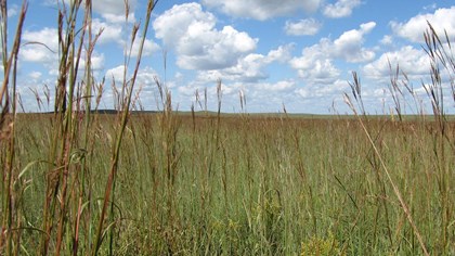 Tallgrass Prairie National Preserve (U.S. National Park Service)