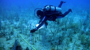 Virgin Islands National Park (U.S. National Park Service)