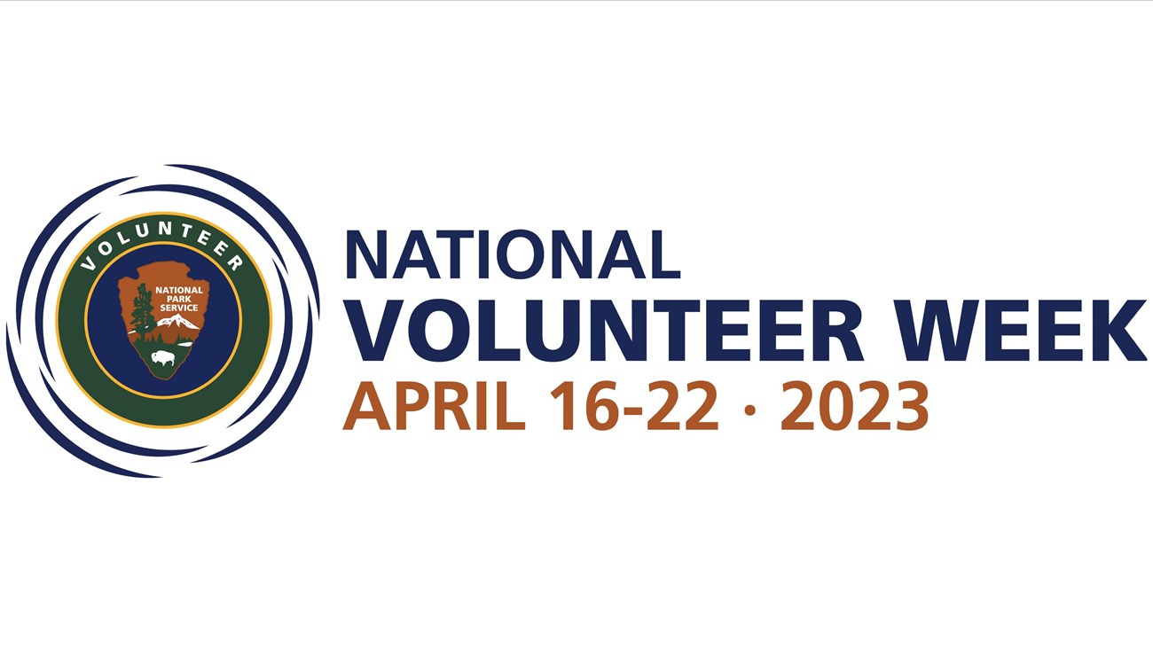 Generic Volunteer Logo