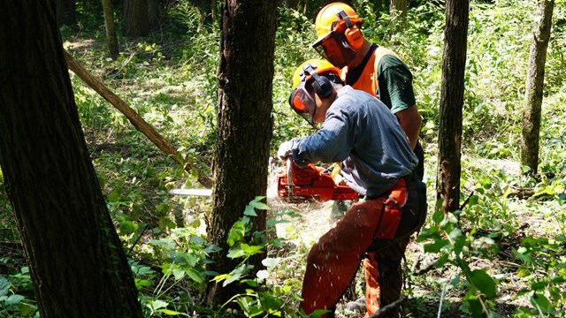 Volunteer Resources - Volunteer With Us (U.S. National Park Service)