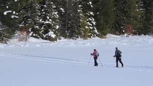 Voyageurs National Park (U.S. National Park Service)
