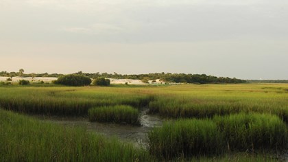 About Wetlands - Wetlands (U.S. National Park Service)