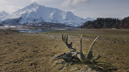 Wilderness in National Parks - Wilderness (U.S. National Park Service)
