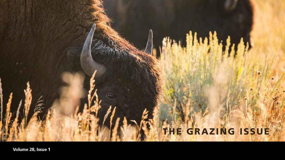 Yellowstone Science (U.S. National Park Service)