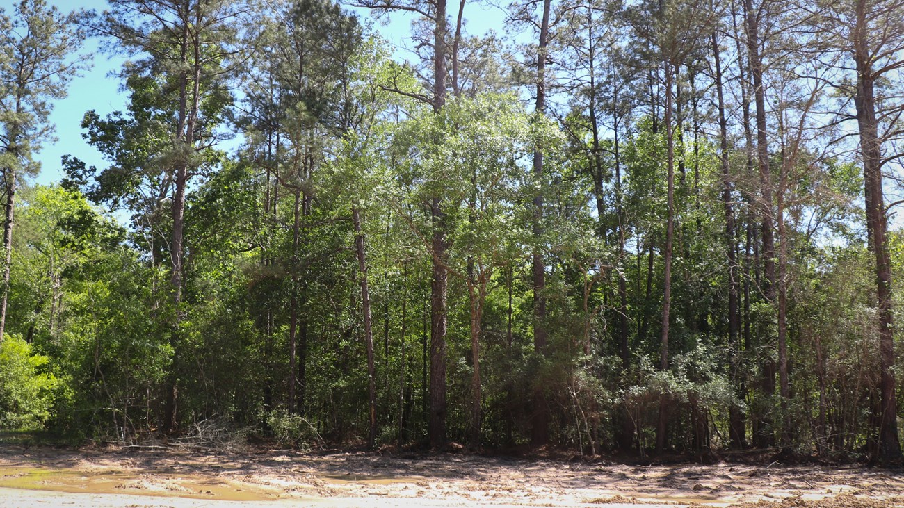 Oil & Gas Extraction - Big Thicket National Preserve (U.S. National ...