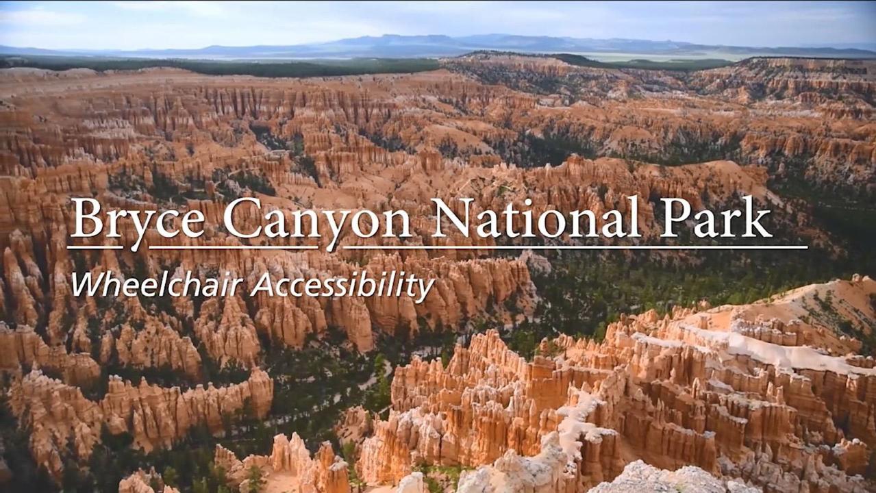 Are Dogs Allowed In Bryce National Park