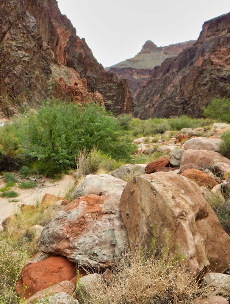 Explorers: Surveyors and River Rats - Grand Canyon National Park (U.S ...