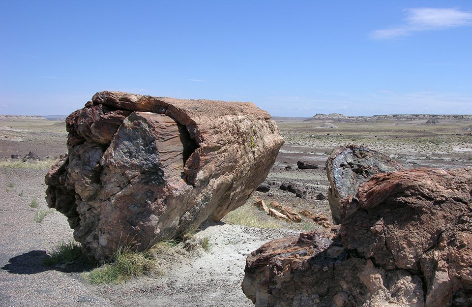 Throwback Thursdays - Petrified Forest National Park (U.S. National ...