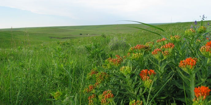 Plan Your Visit - Tallgrass Prairie National Preserve (U.S. National ...