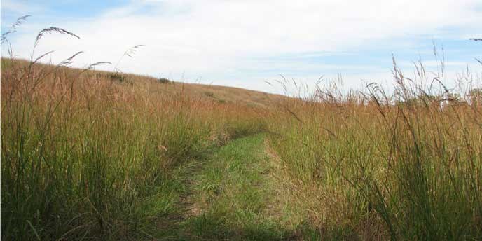Plan Your Visit - Tallgrass Prairie National Preserve (U.S. National ...