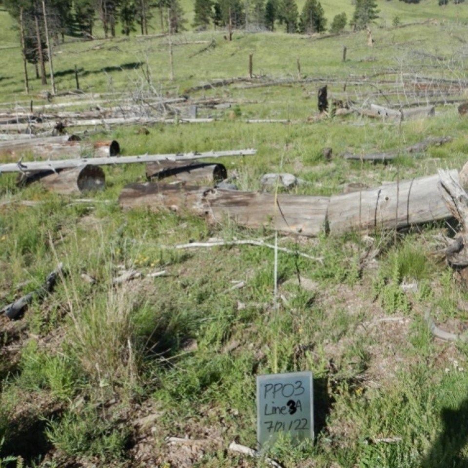 Research Spotlight: Post-Wildfire Vegetation Recovery (U.S. National ...