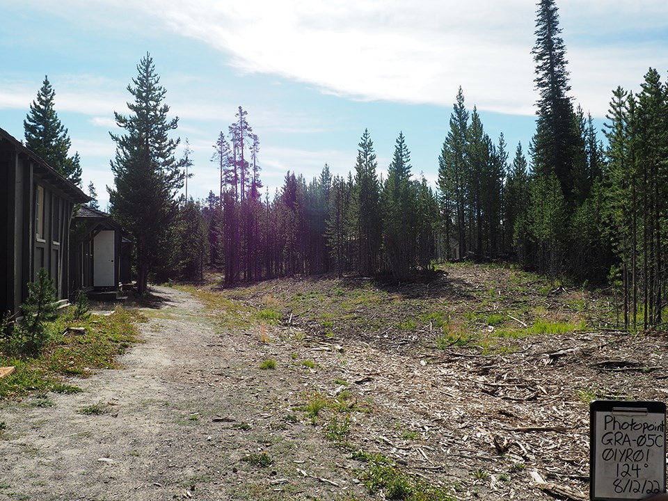 Multi-year defensible space project in Lake Village of Yellowstone ...