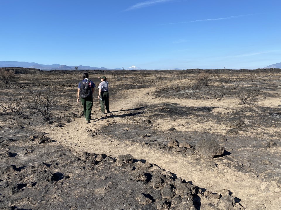 NPS Establishes NPSage Initiative to Restore Sagebrush-Steppe ...