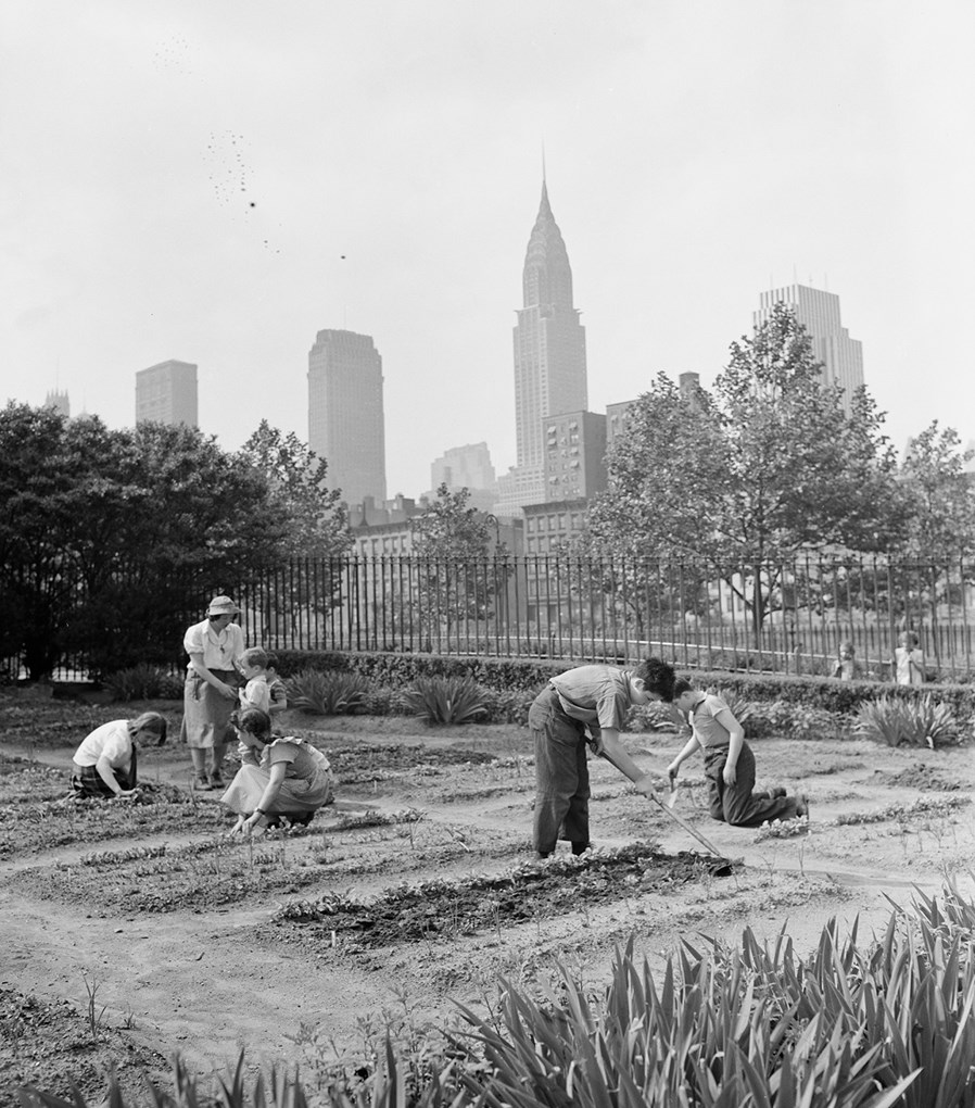 Victory Gardens on the World War II Home Front (U.S. National Park Service)