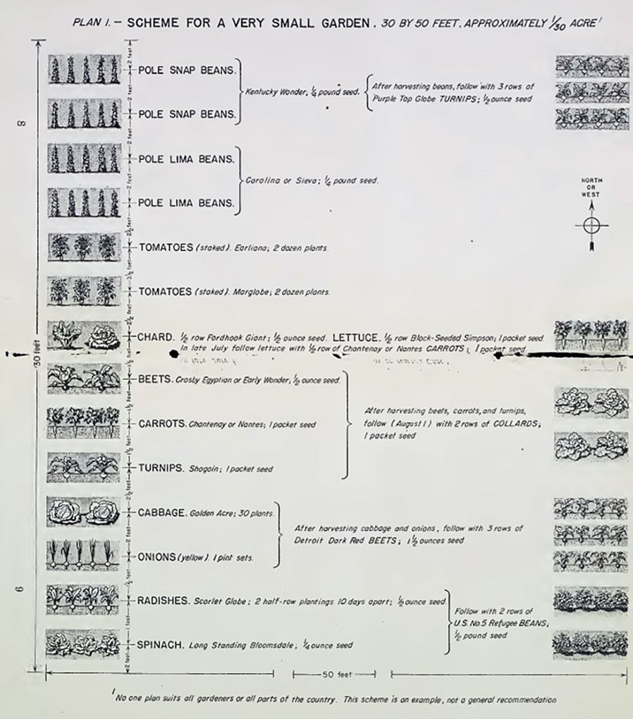 Victory Gardens on the World War II Home Front (U.S. National Park Service)