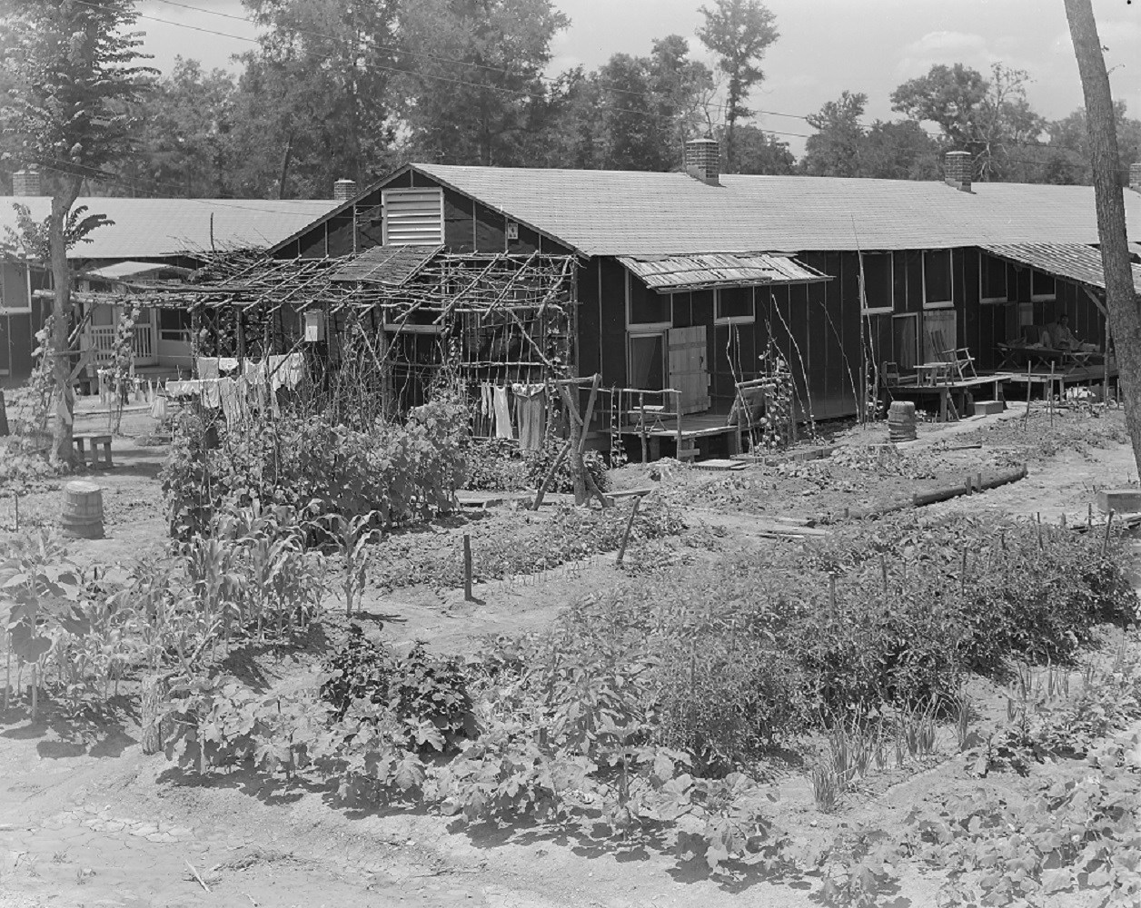 Victory Gardens on the World War II Home Front (U.S. National Park Service)