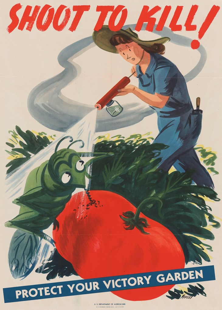 Victory Gardens Ww2 Apush | Fasci Garden