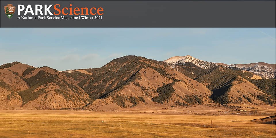 Park Science Magazine | Winter 2021 - Park Science (U.S. National Park ...