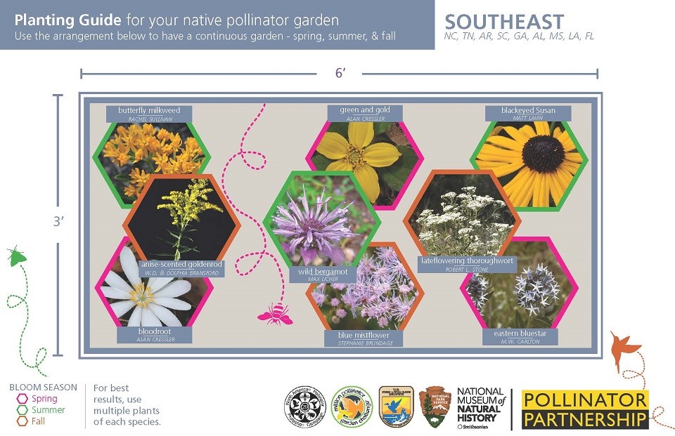 Southeast Card - Pollinators (U.S. National Park Service)