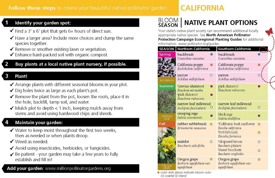 California Card - Pollinators (U.S. National Park Service)
