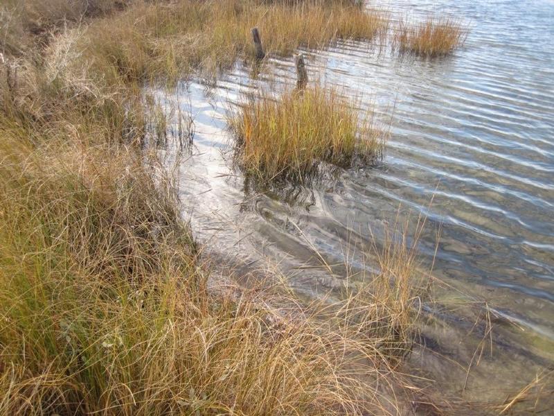 Photo Gallery (U.S. National Park Service)