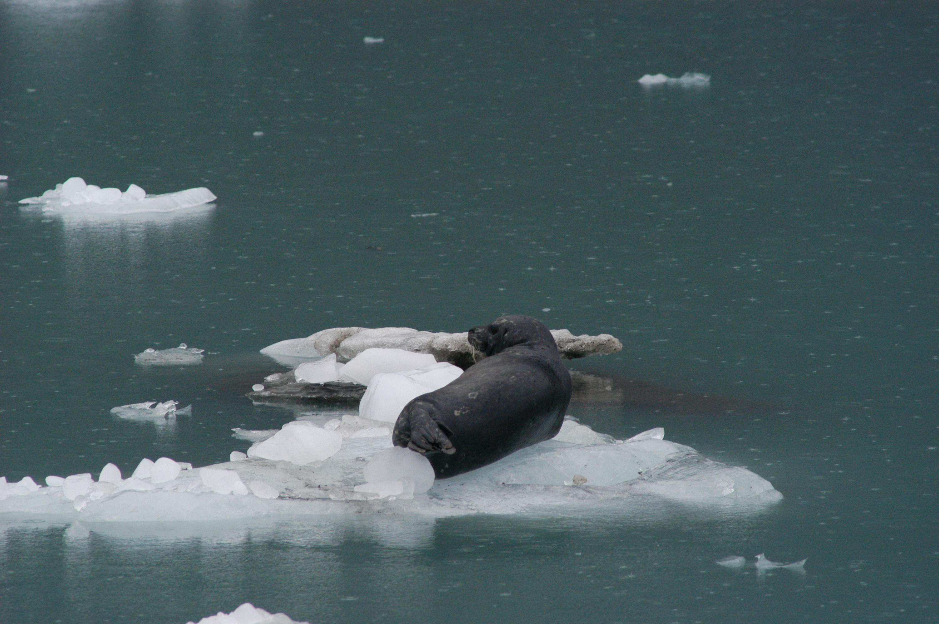 Photo Gallery (U.S. National Park Service)