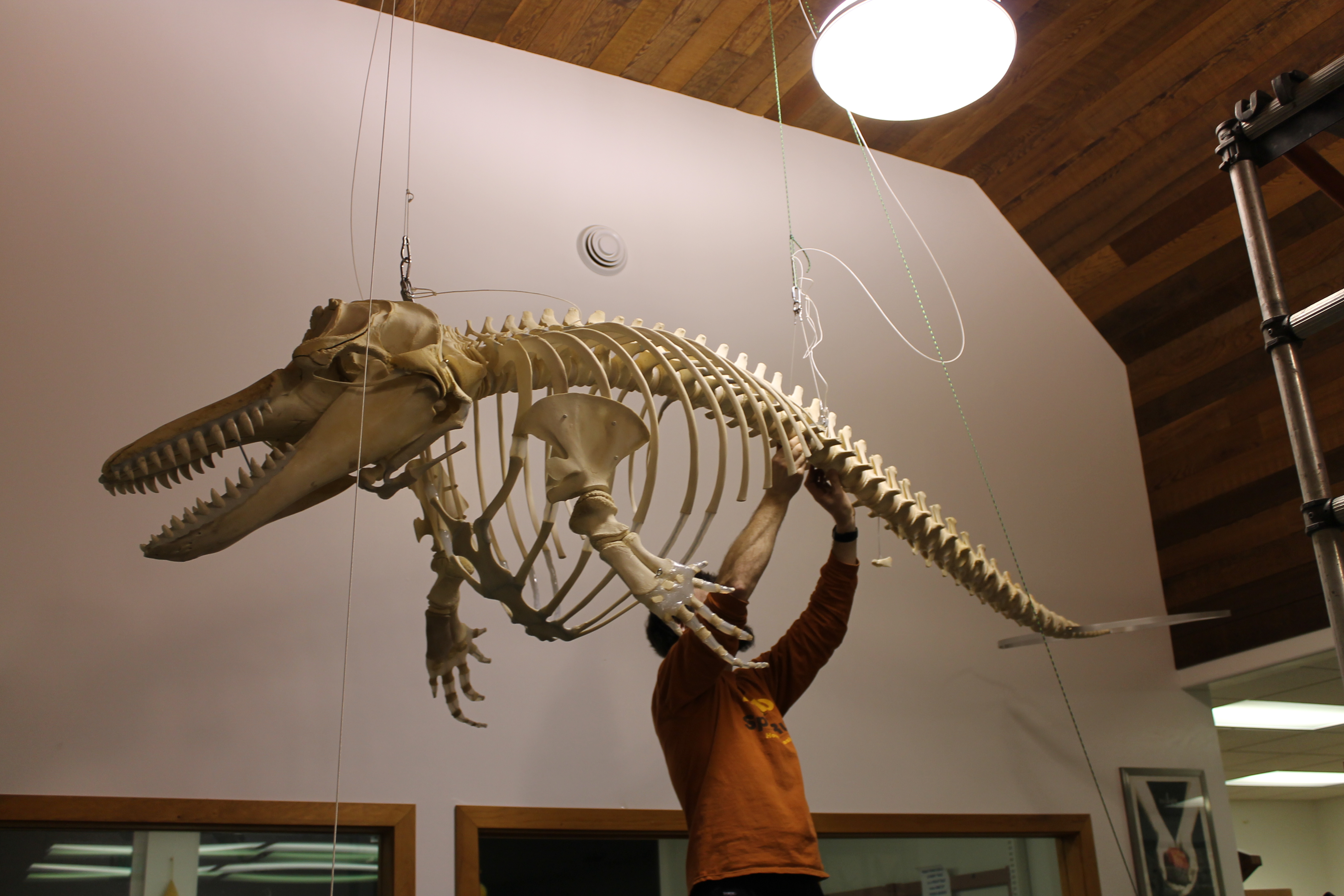 Photo Gallery (U.S. National Park Service)