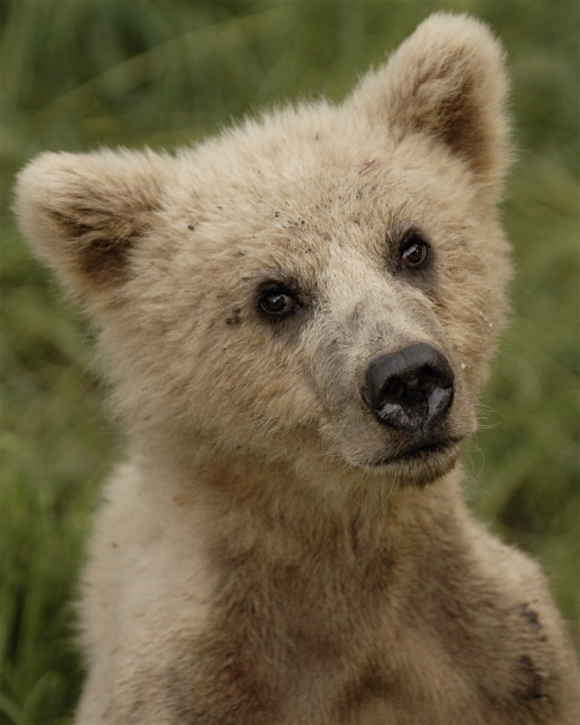 Photo Gallery (U.S. National Park Service)