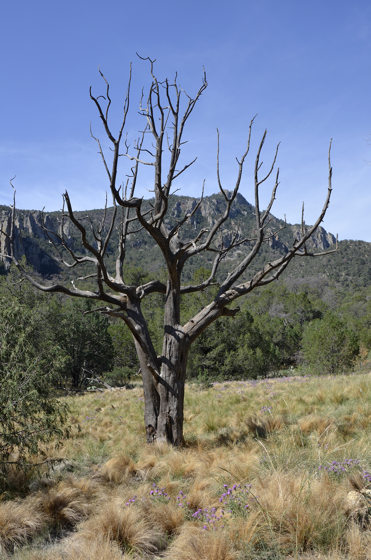 Photo Gallery (U.S. National Park Service)