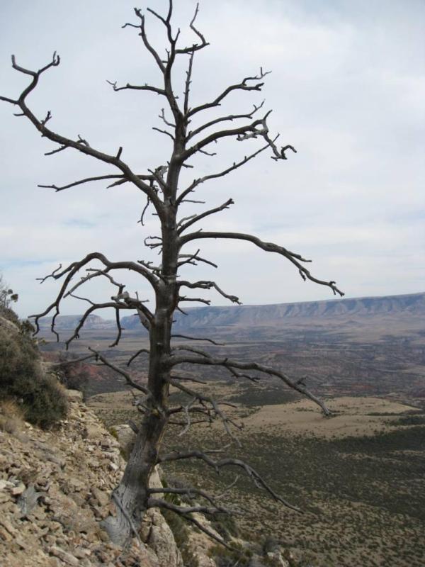 Photo Gallery (U.S. National Park Service)