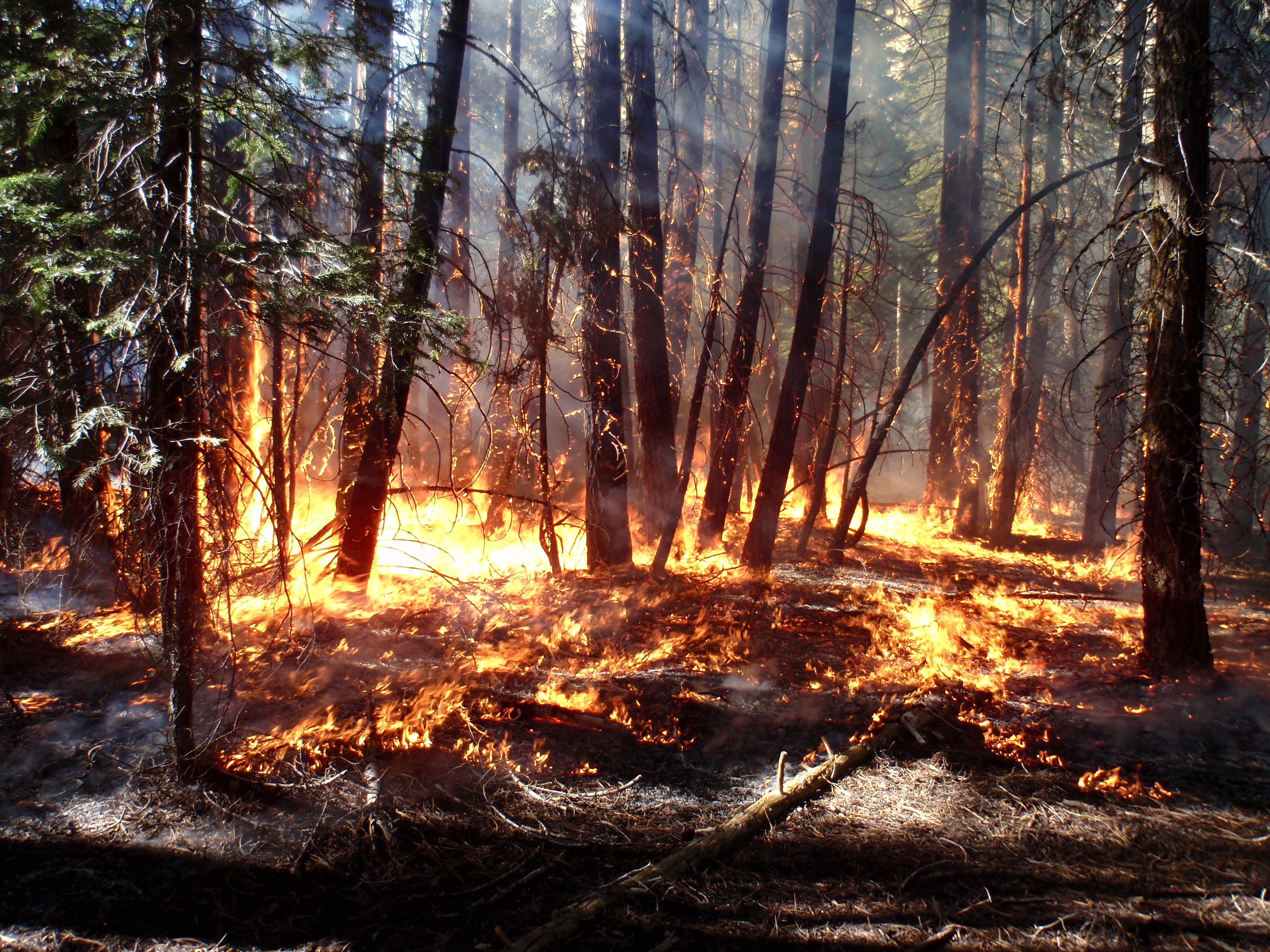 Photo Gallery (U.S. National Park Service)