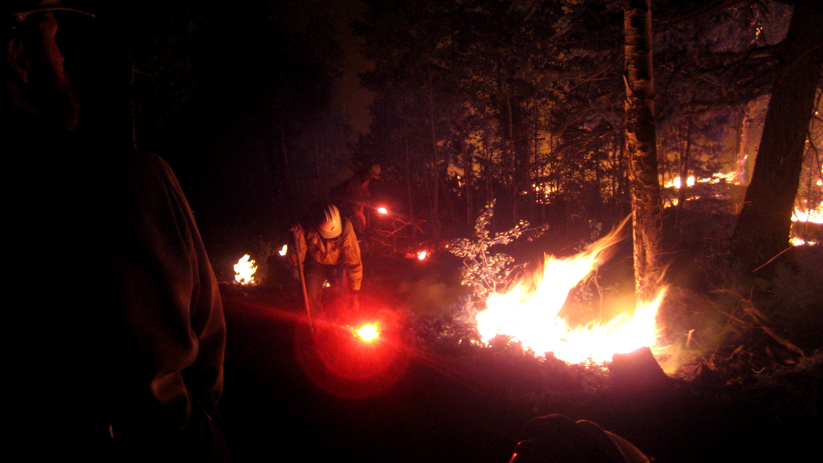 Photo Gallery (U.S. National Park Service)