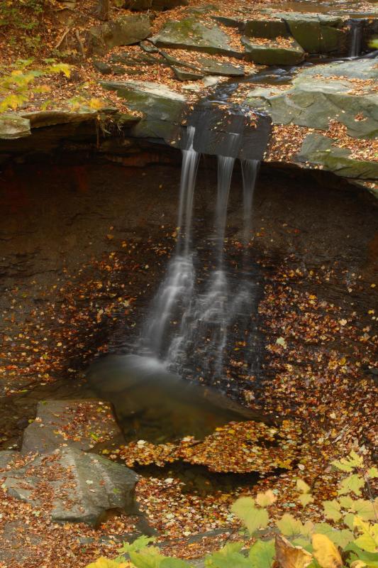 Photo Gallery (U.S. National Park Service)
