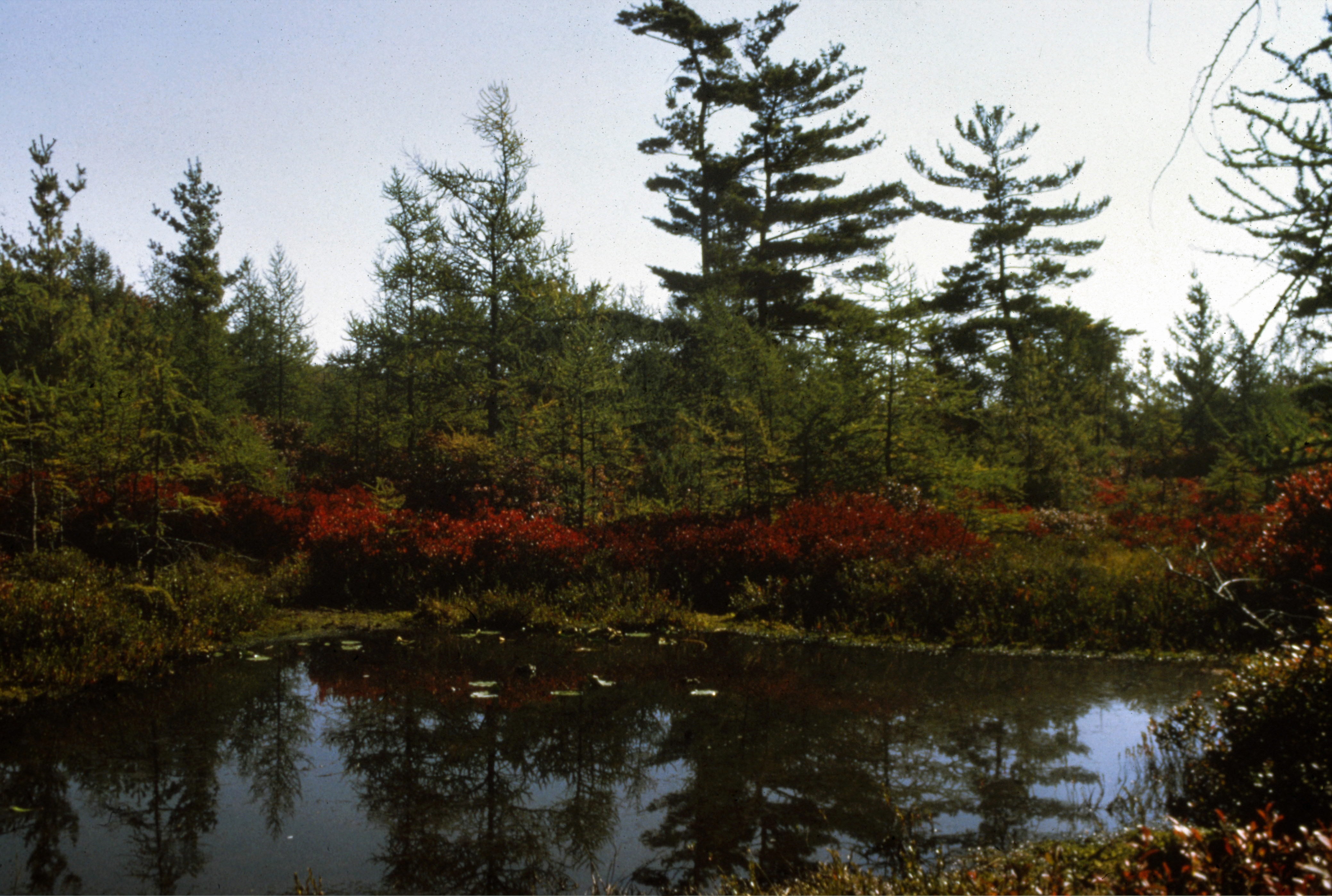 Photo Gallery (U.S. National Park Service)
