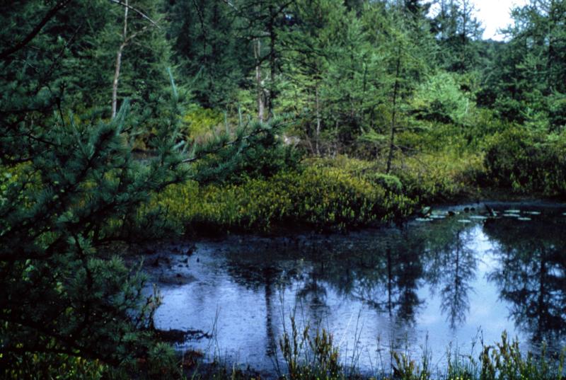Photo Gallery (U.S. National Park Service)