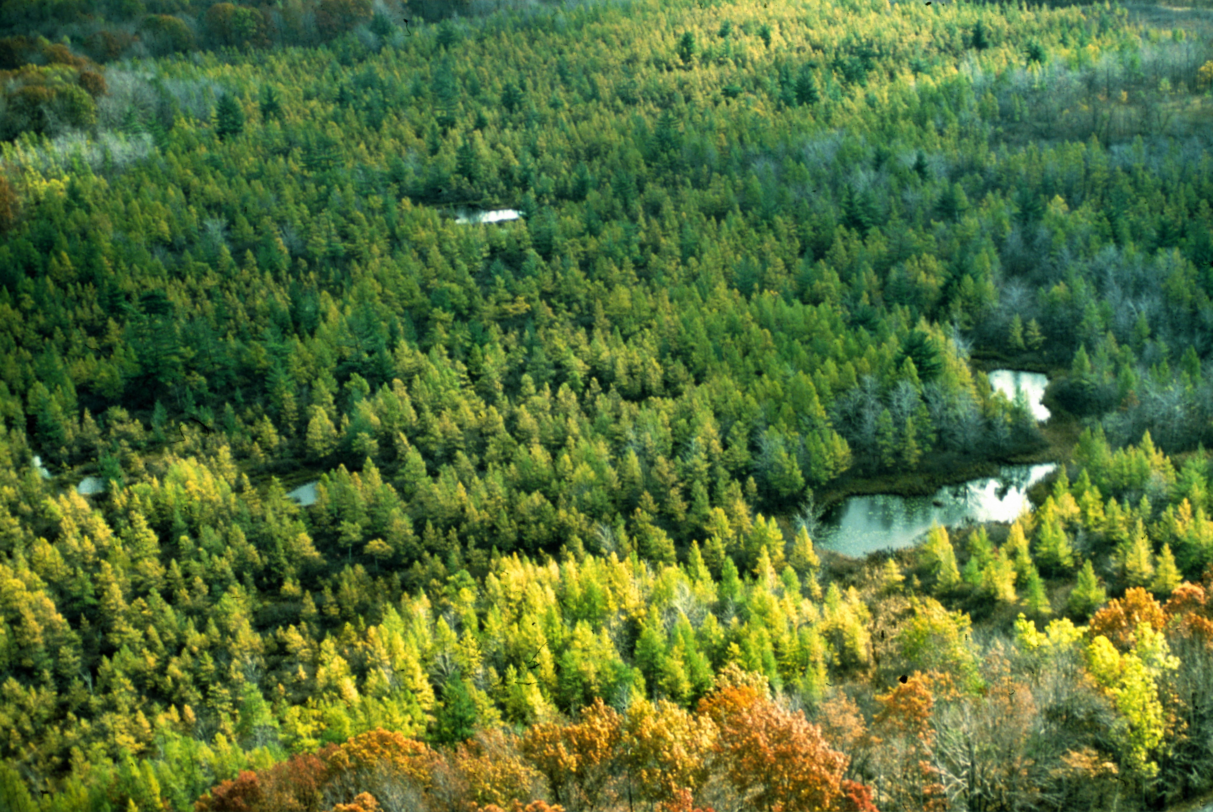 Photo Gallery (U.S. National Park Service)